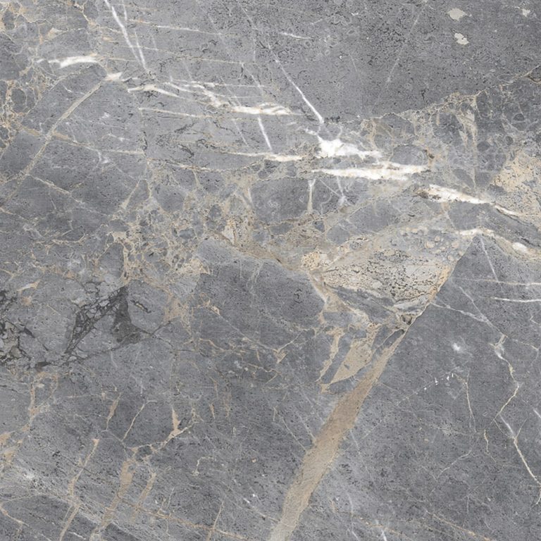 Regal Gris – Victory Ceratech Pvt. Ltd.: